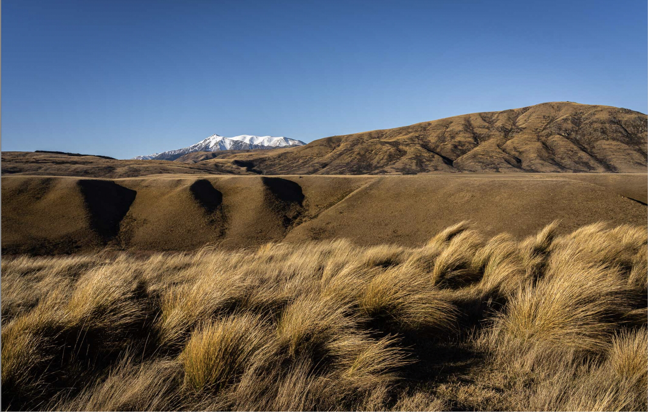 Explore Our FLOCKHILL Homestead Gallery