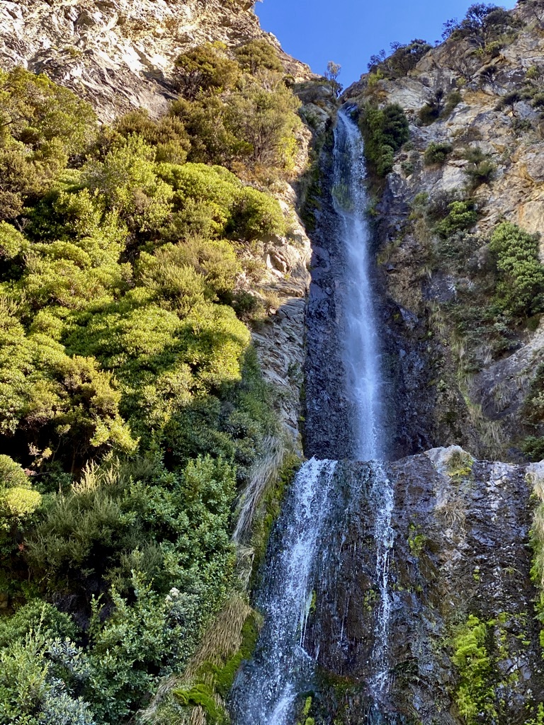 Explore Our FLOCKHILL Homestead Gallery