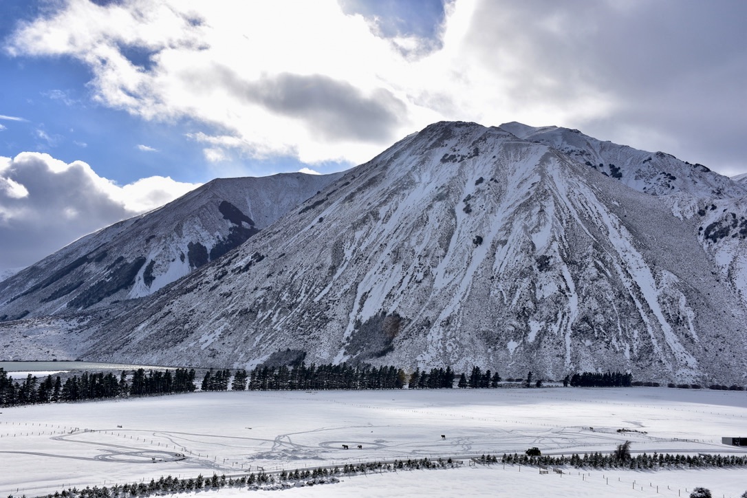 Explore Our FLOCKHILL Homestead Gallery